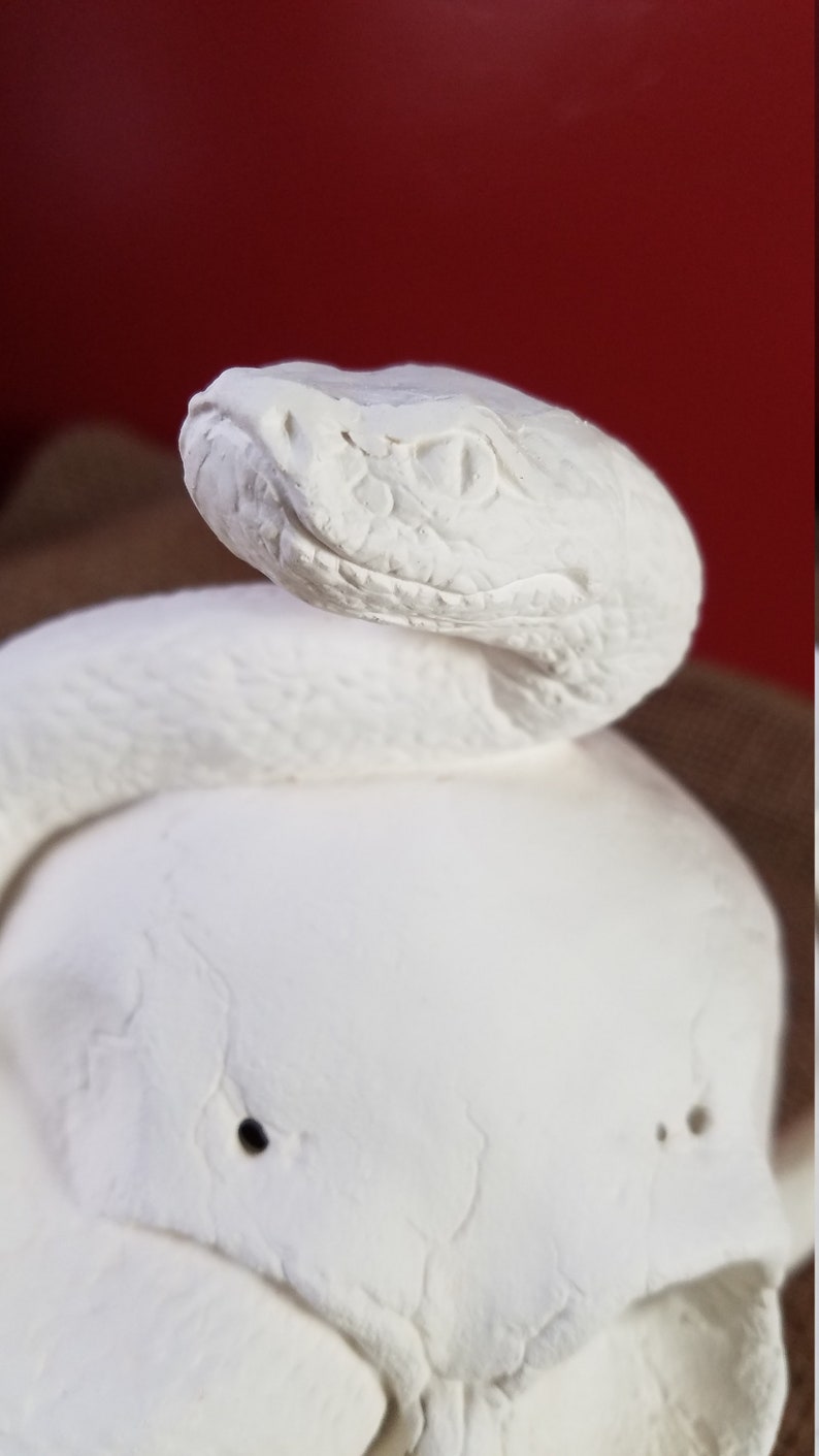 7.5 Realistic Skull and Snake Ceramic Bisque Fall - Etsy