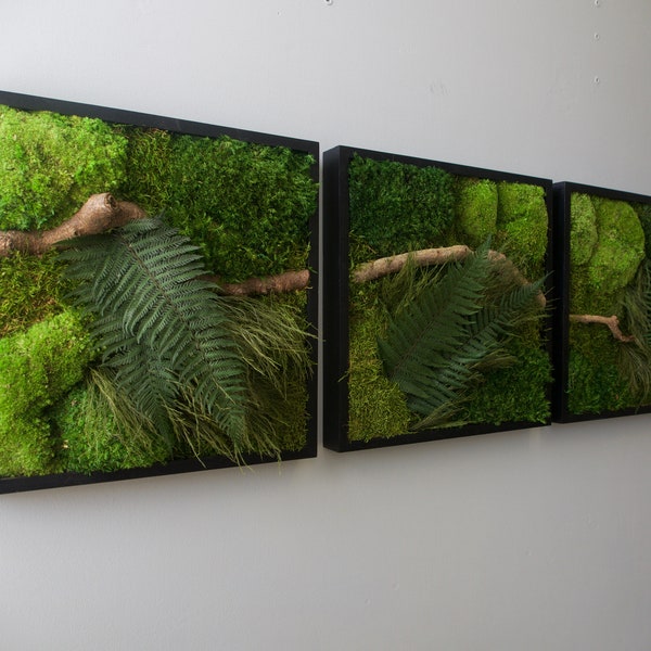 Moss Wall Panels - Etsy