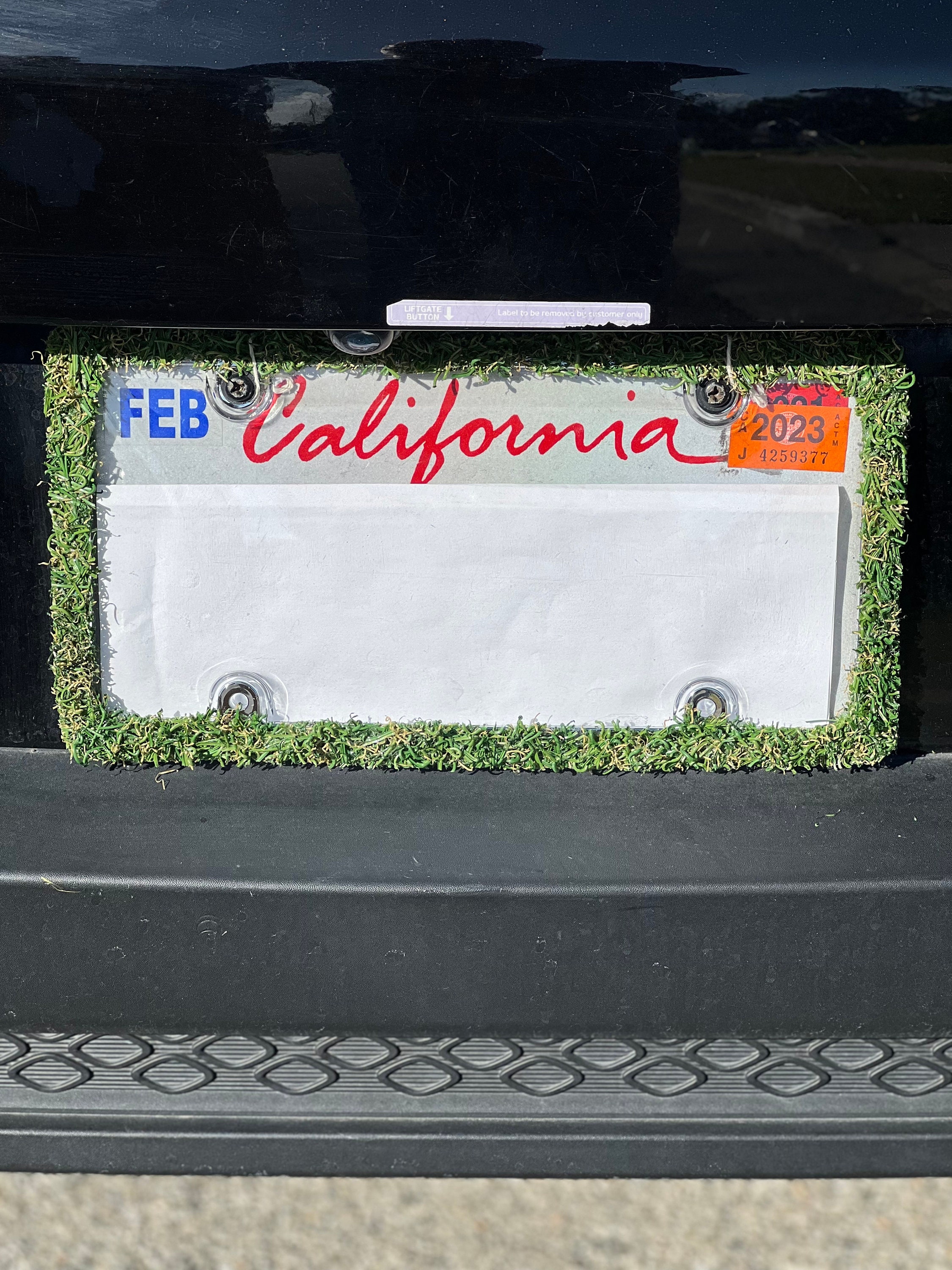 Grass Plant License Plate Frame - Etsy