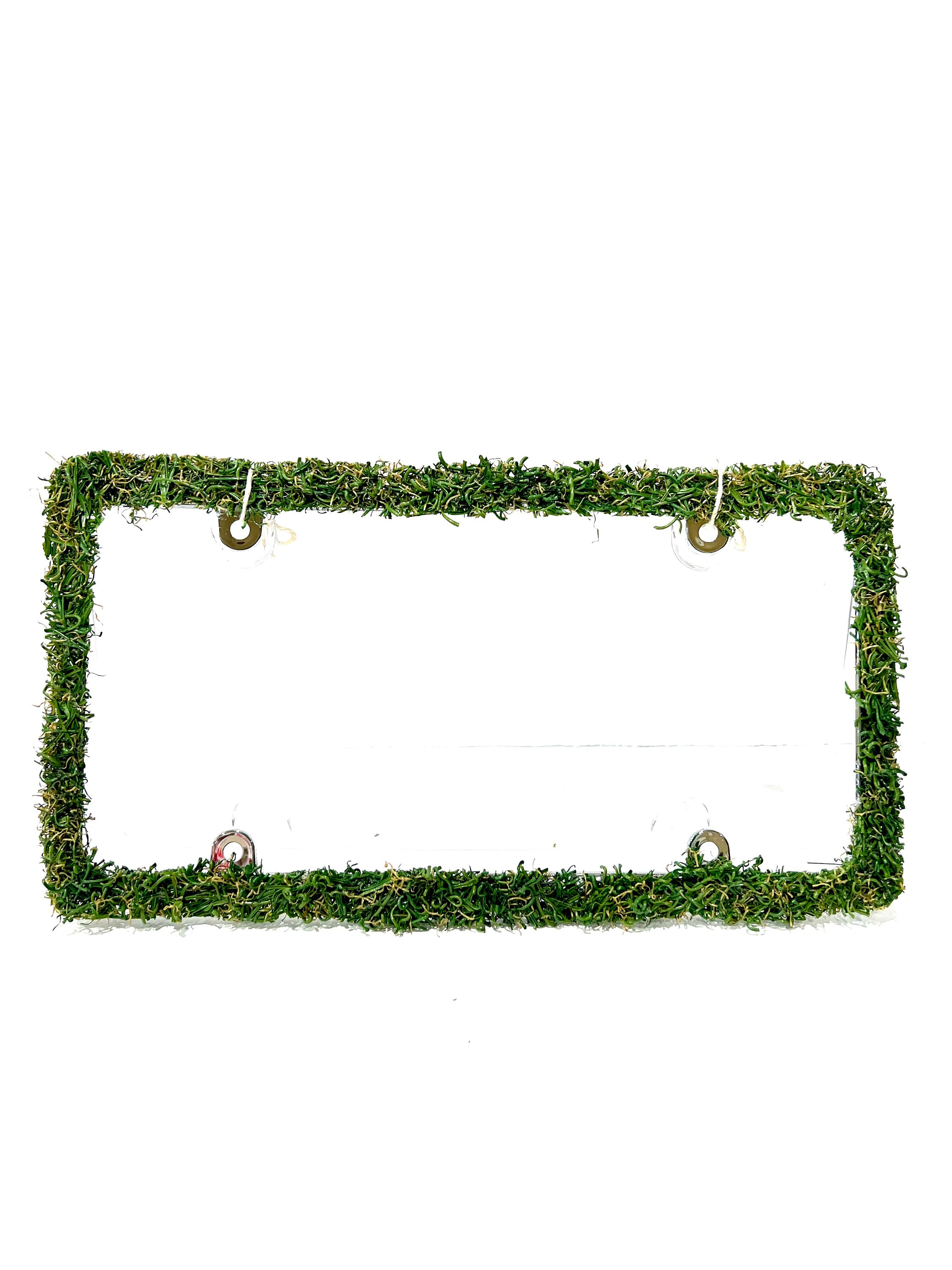 Grass Plant License Plate Frame - Etsy
