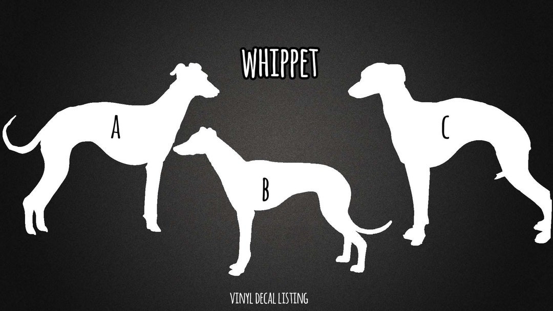 Whippet //dog Breed Silhouette Vinyl Decal Sticker - Etsy