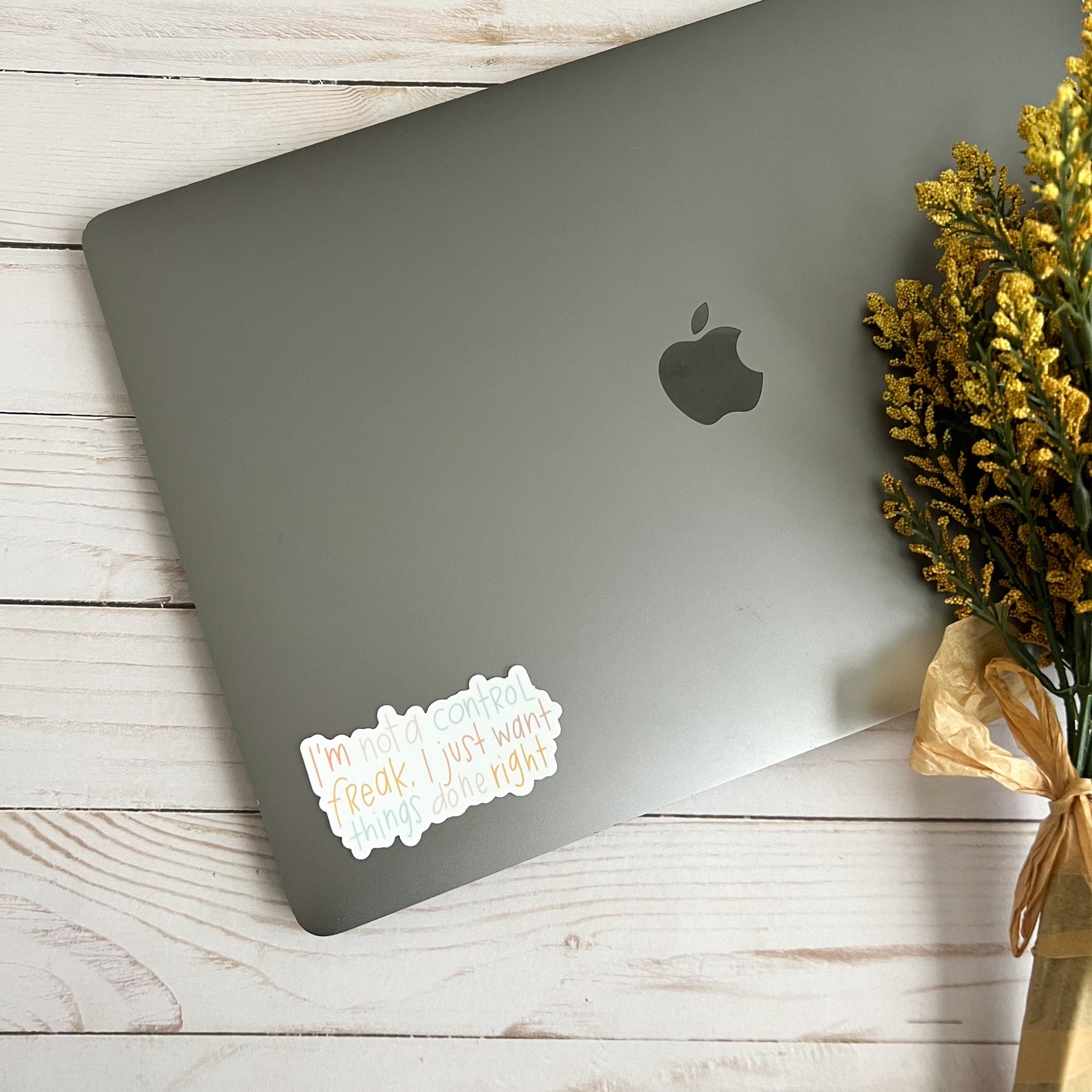 Sarcastic Stickers Funny Joke Stickers Control Freak Decal - Etsy