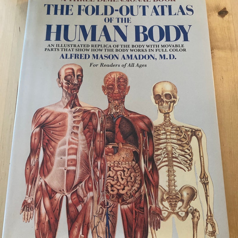 Human Body Book - Etsy