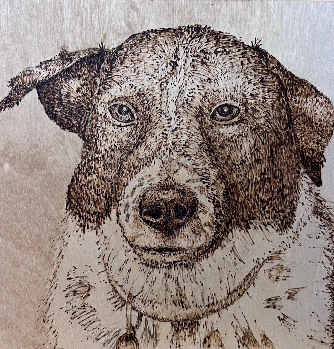 Wood Burned Original Images of Dogs and Cats - Etsy