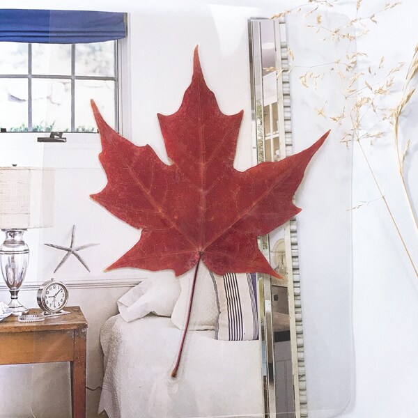 Real Maple Leaf - Etsy