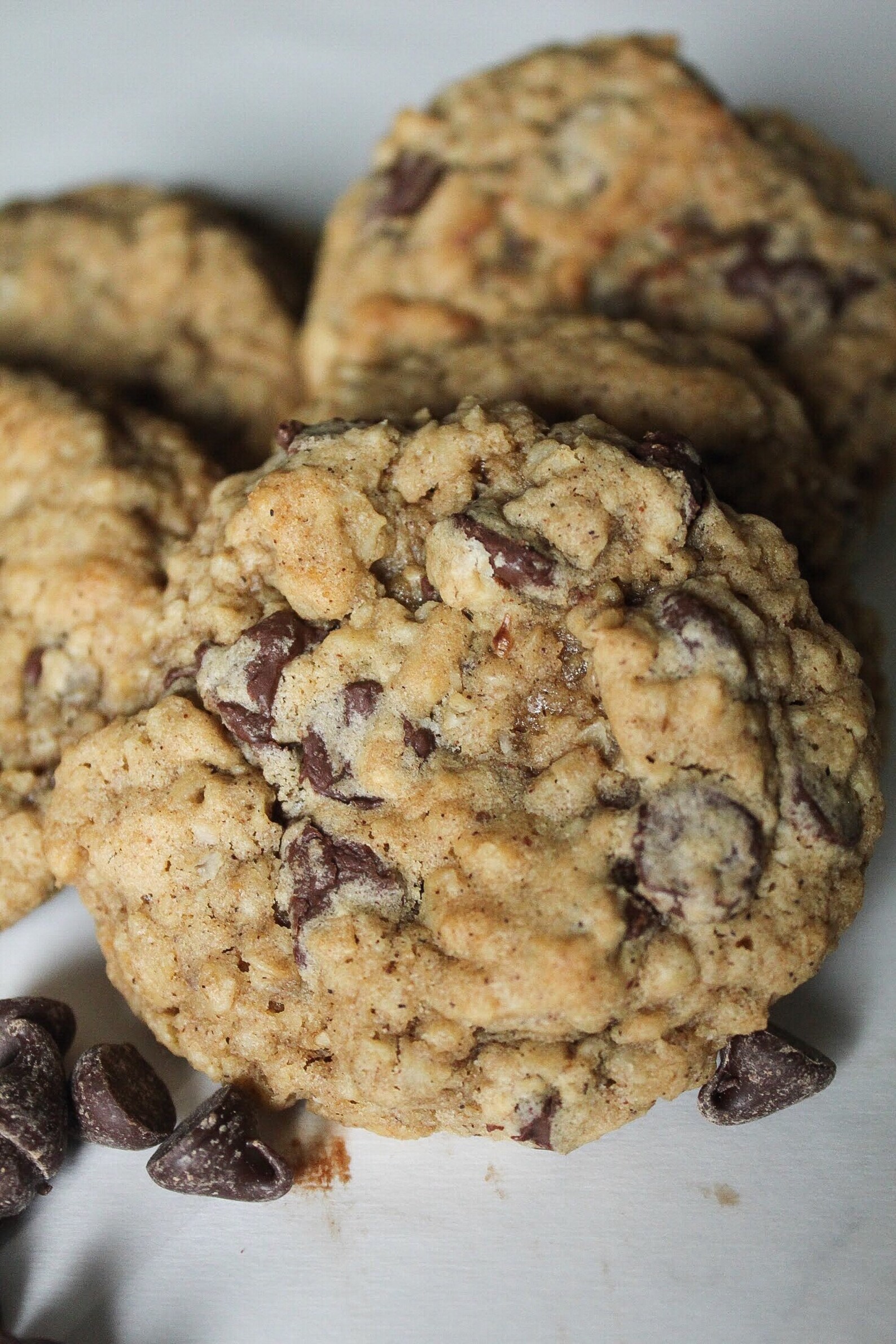 Soft Baked Oatmeal Chocolate Chip Cookies Holiday Gift - Etsy