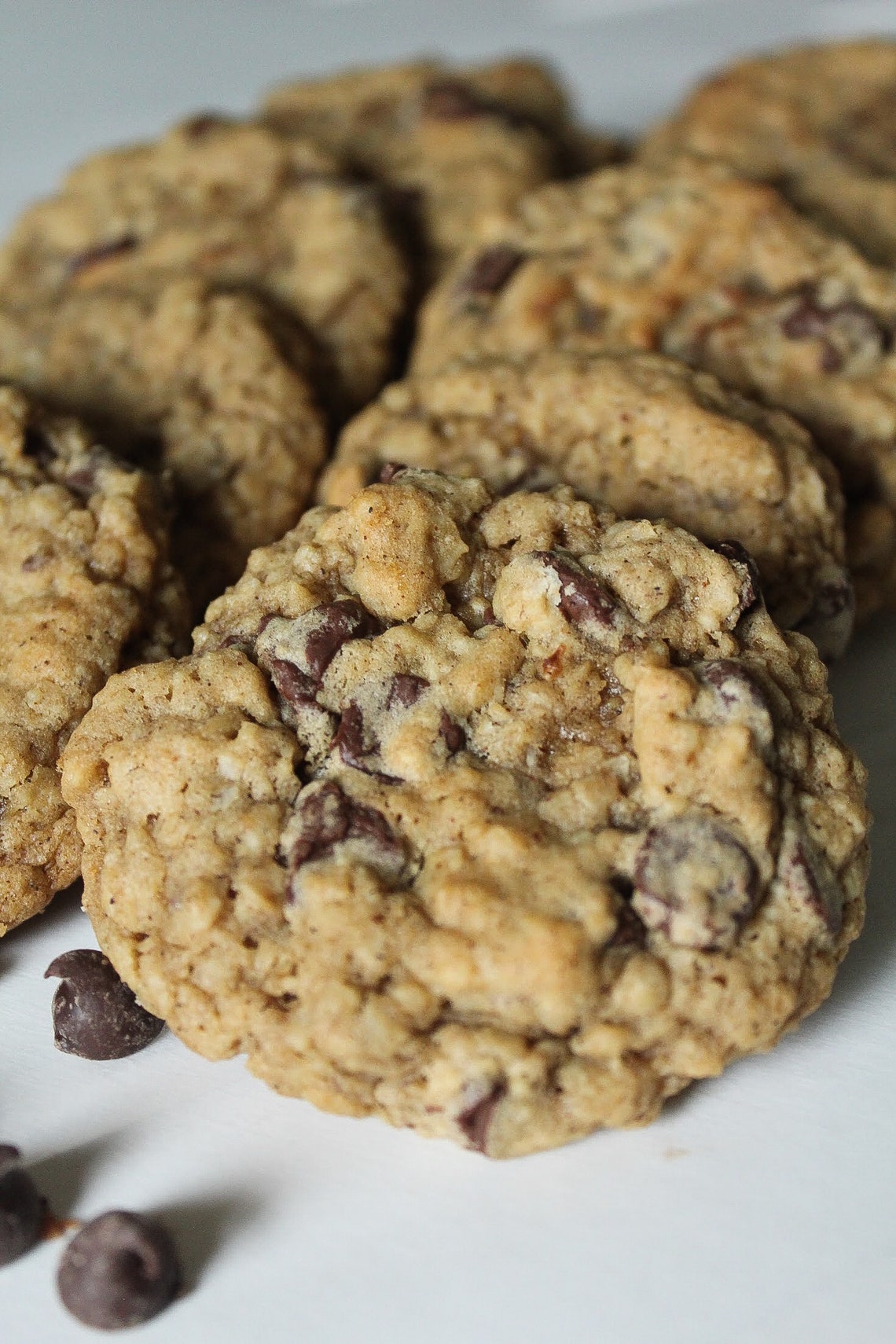 Soft Baked Oatmeal Chocolate Chip Cookies Holiday Gift - Etsy