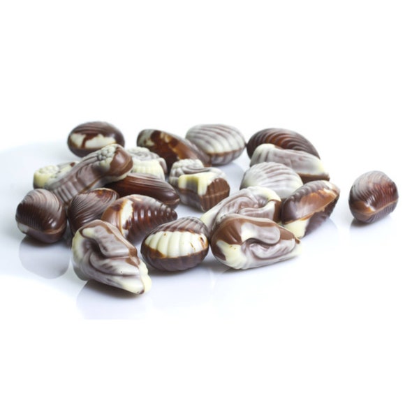 Chocolate Seashells - Etsy UK