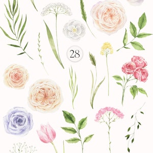 Watercolor Flower Peon Rose Leaf Floral Garden DIY Elements Wedding ...