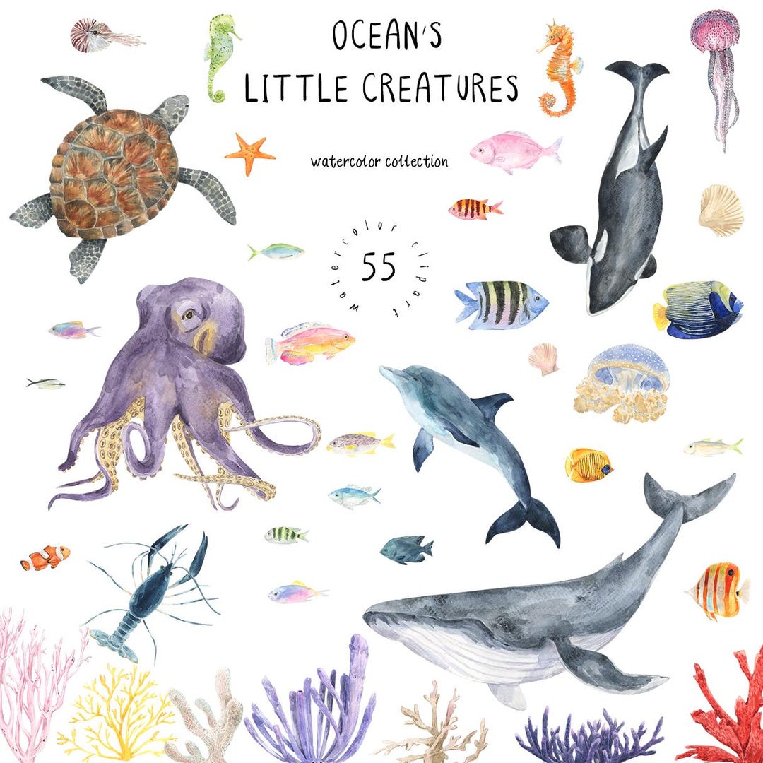 Ocean Animals Watercolor Clipart – Sea Creatures, Whales, Dolphins ...
