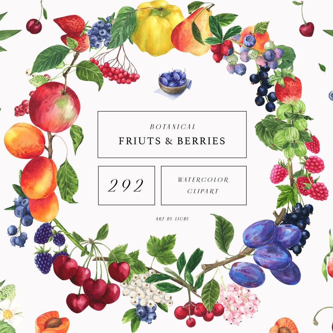Watercolor Fruits Clipart Summer Berries Png Peach Apple Plum Cherry ...