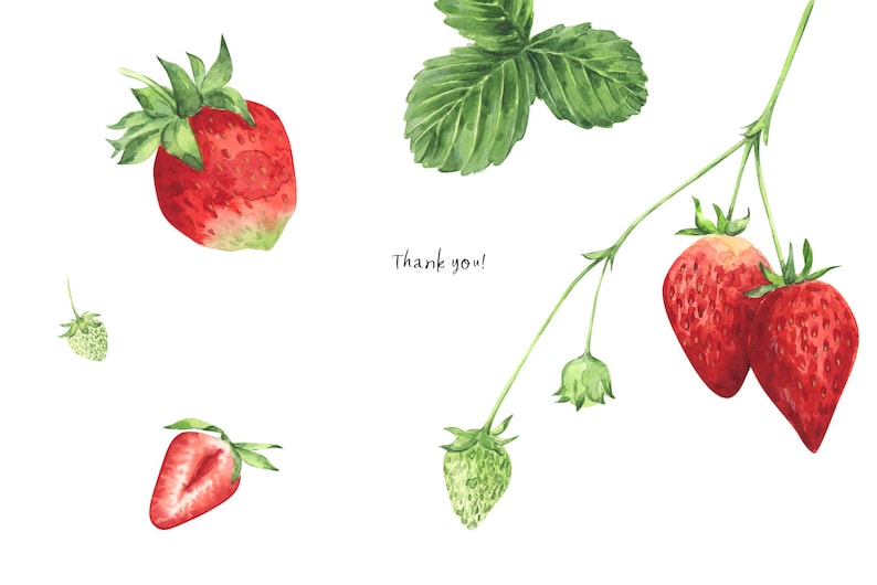 Watercolor Strawberry Clipart Summer Berry Strawberries Harvest Food ...