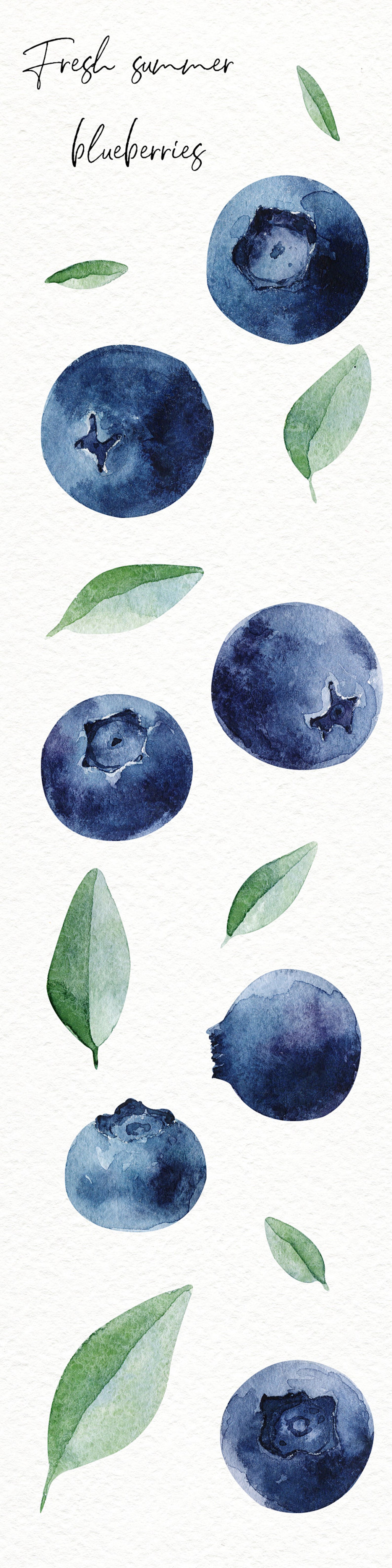 Blueberries. Watercolor Blueberry Clipart. Green Leaves Clipart ...