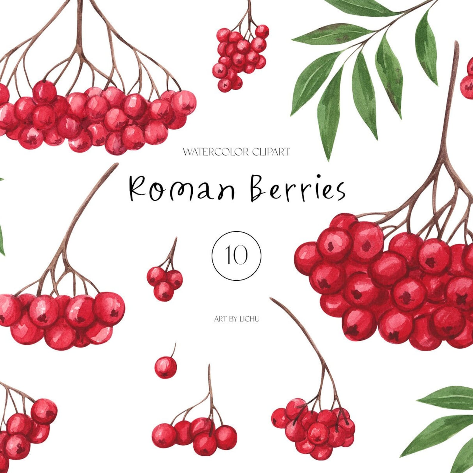 Watercolor Berries Clipart Summer Roman Red Berries Clip Art Fresh ...