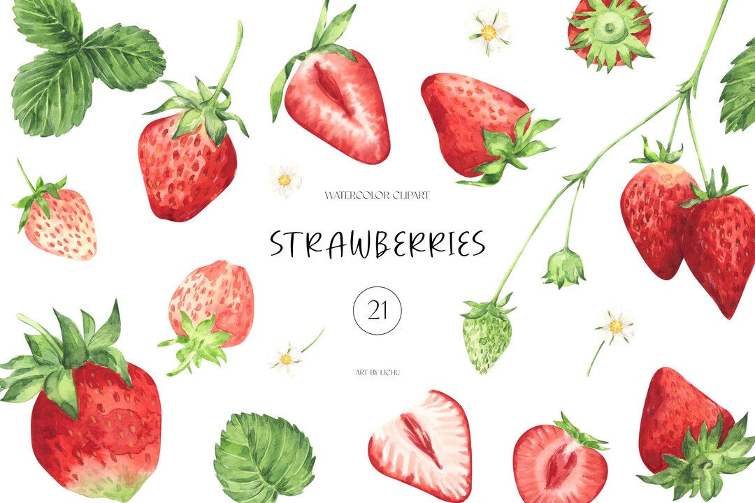 Watercolor Strawberry Clipart Summer Berry Strawberries Harvest Food ...