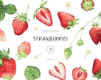 Watercolor Strawberry in PNG. Food Illustration. - Etsy