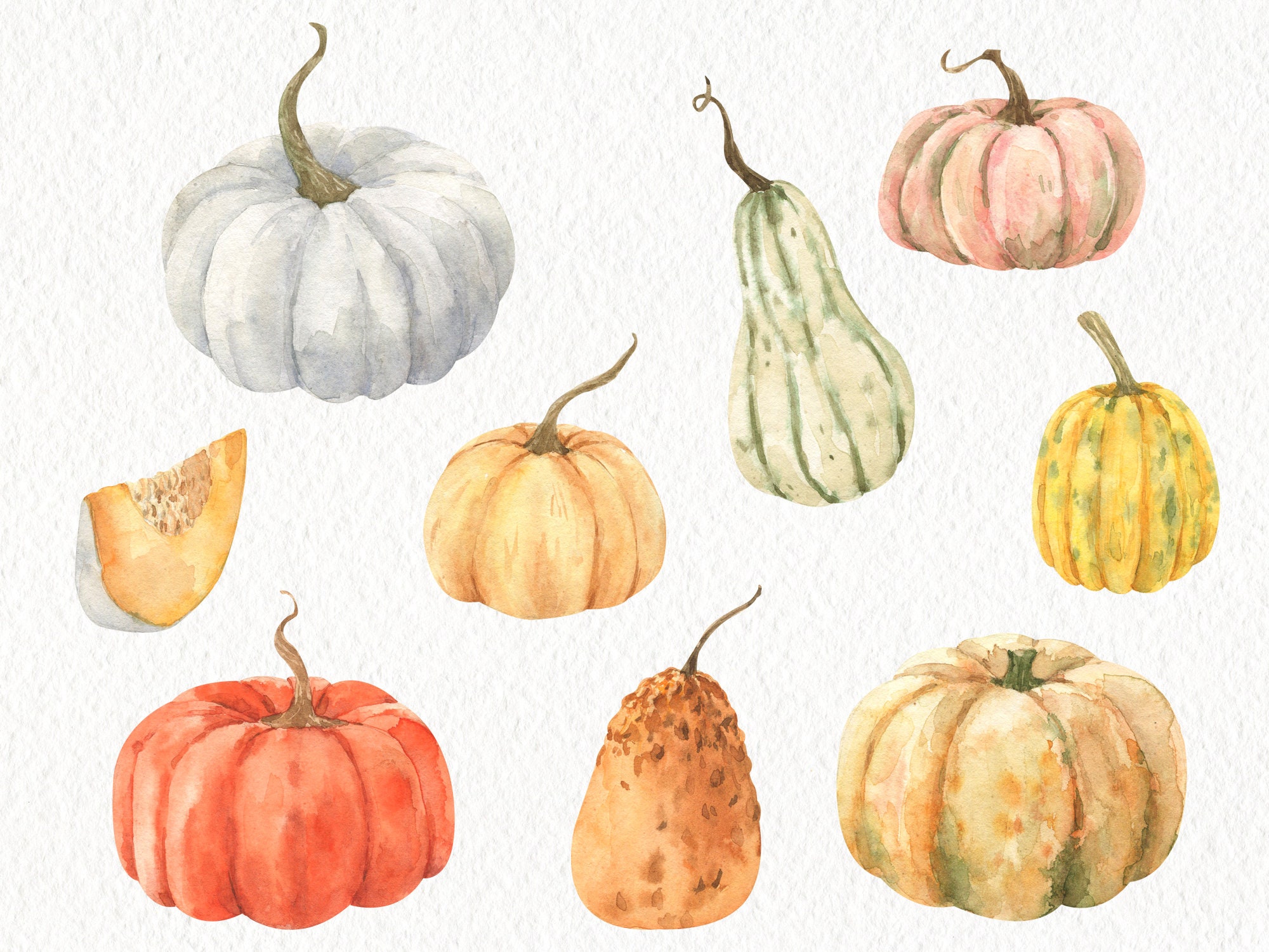 Watercolor Clipart Thanksgiving - Pumpkin Clipart - Vegetable Plants ...