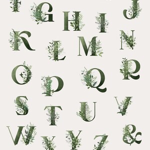 Watercolor Foliage Greenery Alphabet Numbers Evergreen Leaves Letters ...