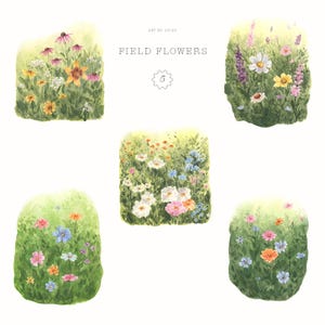 Spring Clipart Meadow Watercolor, Wildflowers Border, Floral Clipart ...