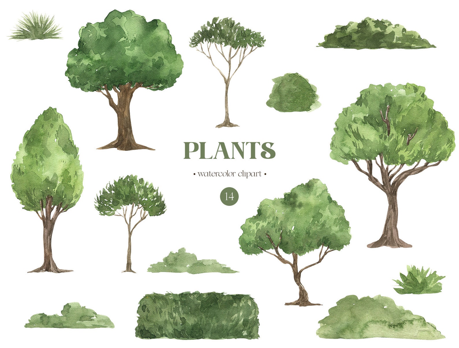 Watercolor Greenery Trees Bushes Plants Garden Peach Pear | Etsy