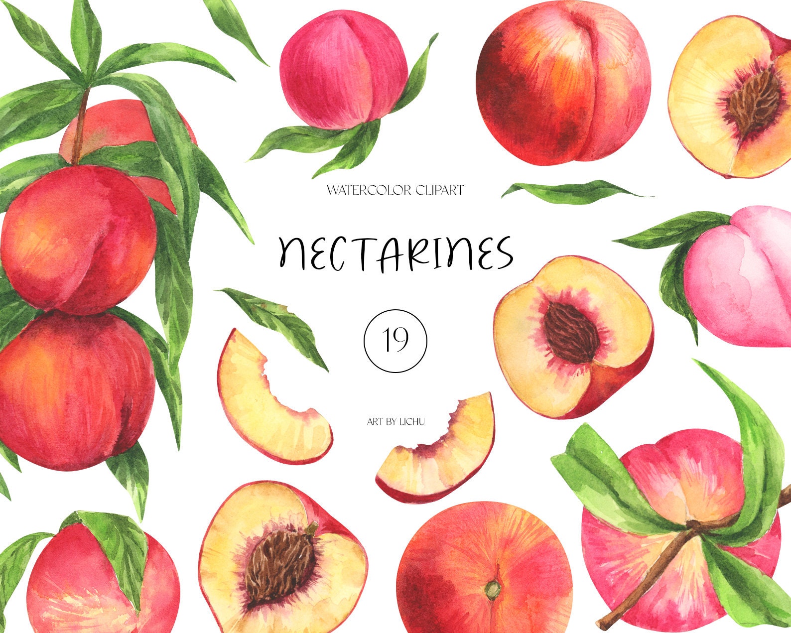 Nectarines Clipart