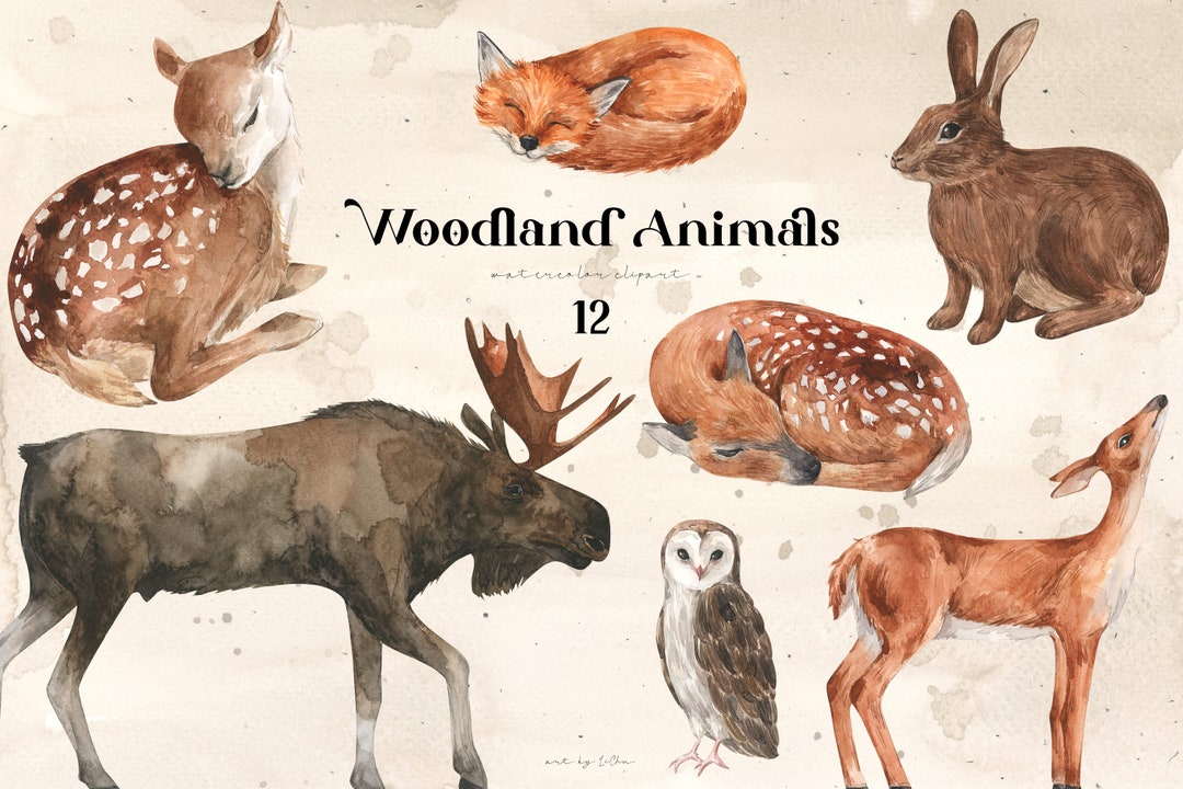 Woodland Nursery Animals Clipart Watercolor Deer Fox Squirrel Bunny ...