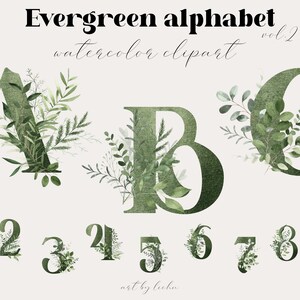 Watercolor Foliage Greenery Alphabet Numbers Evergreen Leaves Letters ...