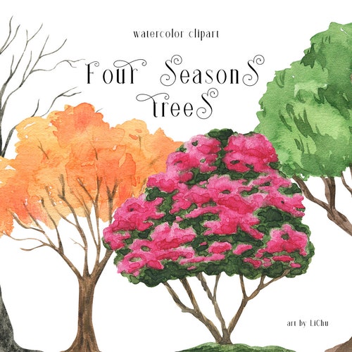 Four Seasons Trees Clipart Clip Art Spring Summer Winter Fall - Etsy