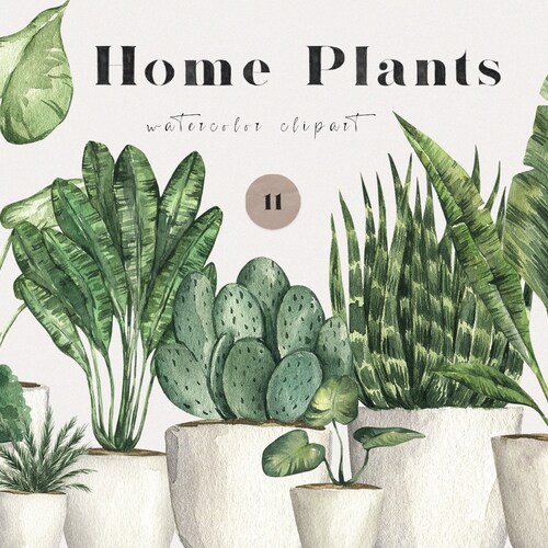 Watercolor Home Plants Clipart Potted Plants Clipart Cactus - Etsy