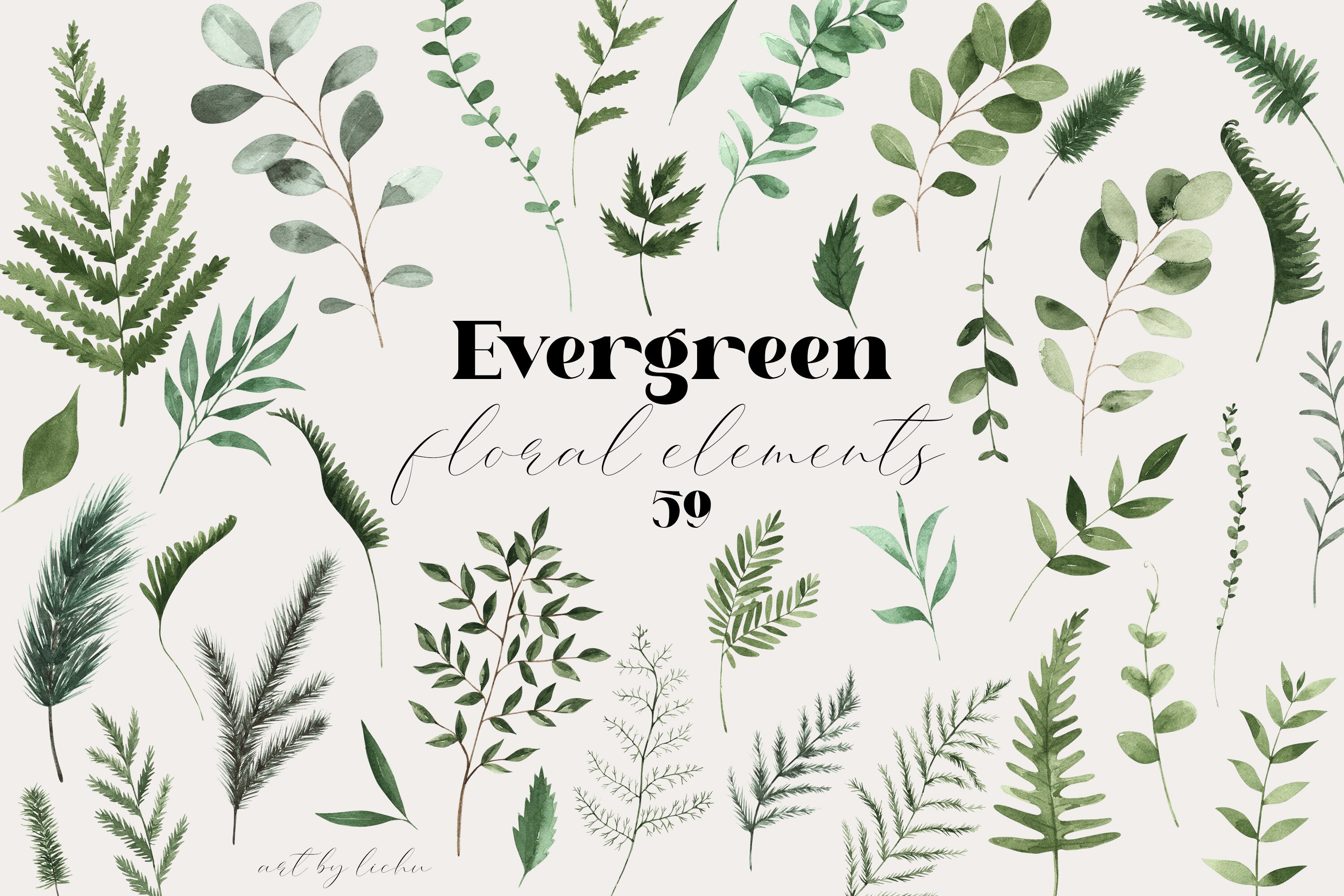 Evergreen Leaves Clipart