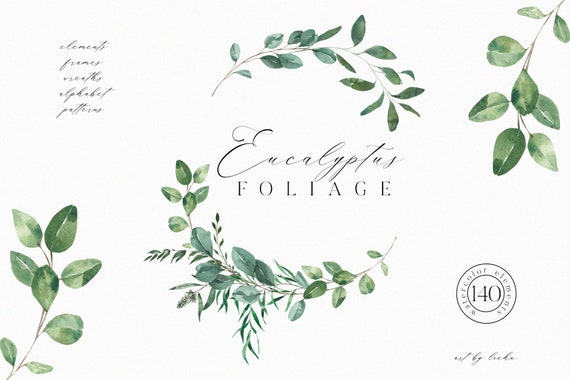Watercolor Greenery Eucalyptus Leaves Branches Foliage Green - Etsy