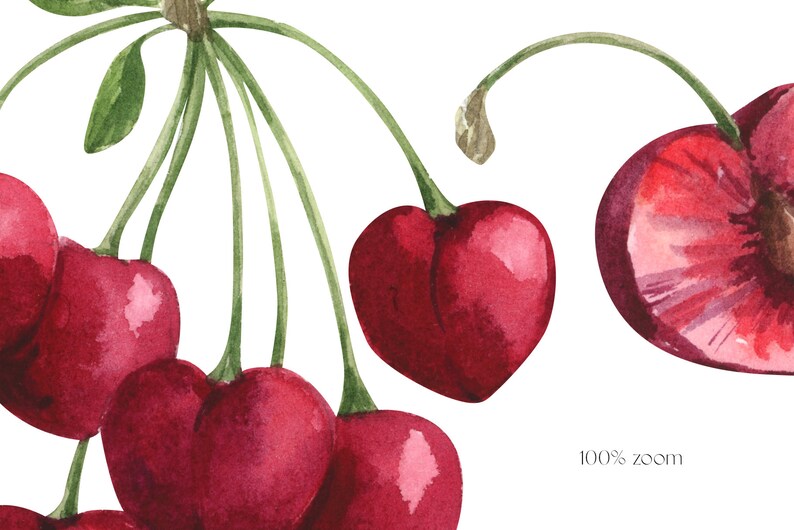 Watercolor Cherries Clipart Summer Berries Clip Art Fresh Fruits ...