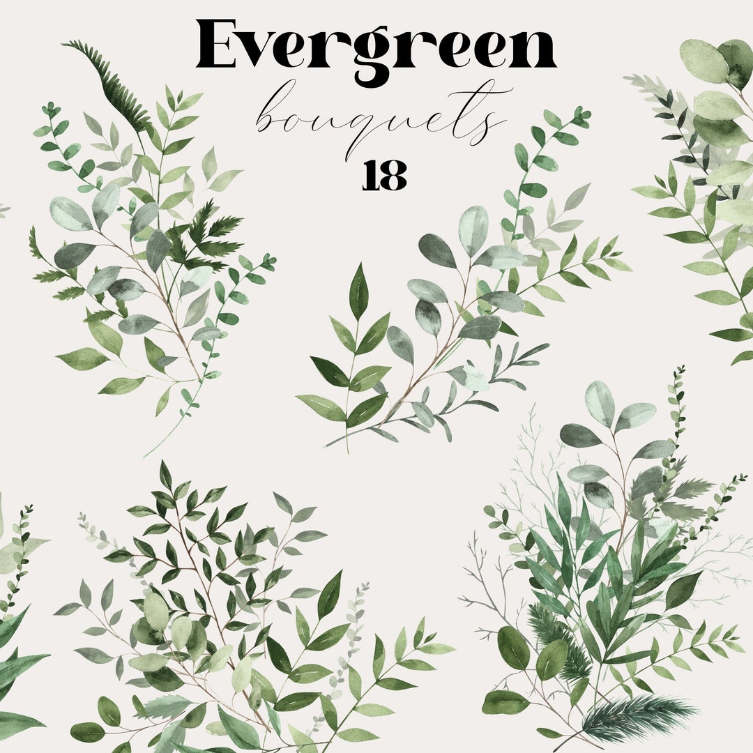 Watercolor Greenery Bouquets Clipart Eucalyptus Green Foliage Bright ...