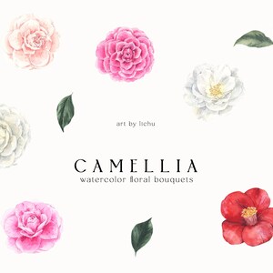 Camellia Clipart Watercolor Flowers Bouquet Floral Arrangement Wedding ...
