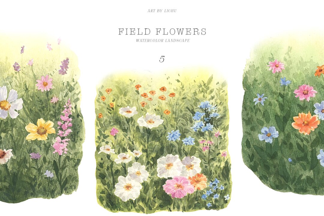 Field Flowers Watercolor Clipart - Summer Meadow Wildflowers Clipart ...