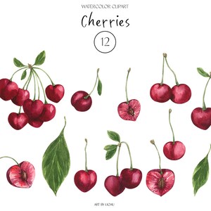 Watercolor Cherries Clipart Summer Berries Clip Art Fresh Fruits ...