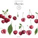 Watercolor Cherries Clipart Summer Berries Clip Art Fresh Fruits ...