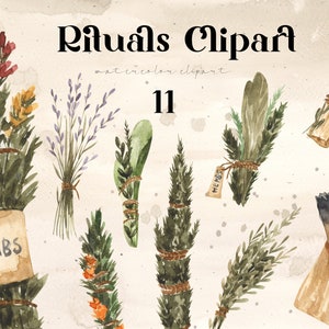 Watercolor Rituals Clipart Palo Santo Sage Lavender Smudging Holy Wood ...
