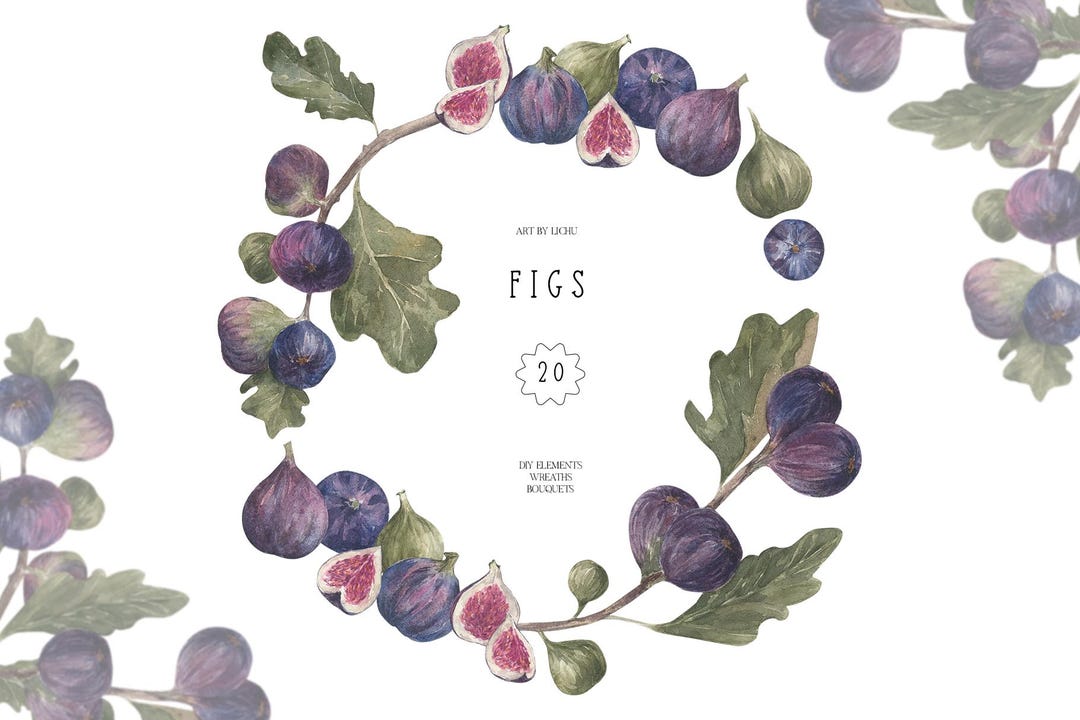 Fig Clipart, Fruit Clipart, Watercolor Figs, Food Clipart, Botanical ...