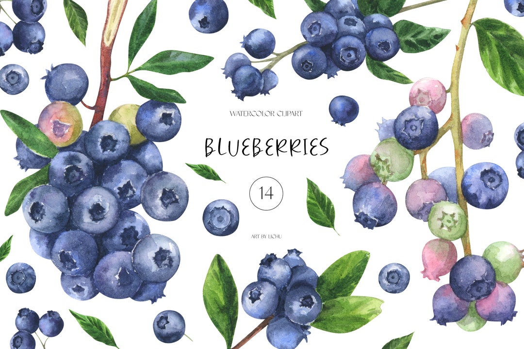 Blueberries Clipart Watercolor Summer Berries Clip Art Fresh Fruits ...