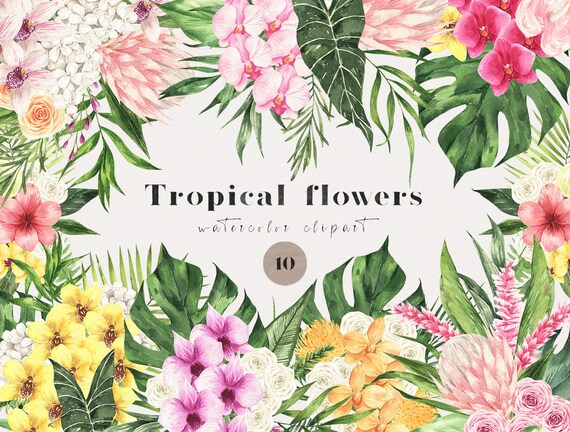 Watercolor Tropical Flowers Clipart Hawaii Floral Greenery - Etsy