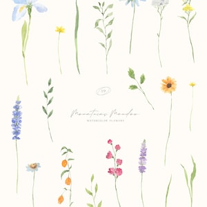 Mountains Meadow Clipart Watercolor Wildflowers Summer Flowers Dainty ...