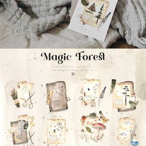 Watercolor Magic Forest Clipart Woodland Animal Fox Squirrel Deer Wolf ...