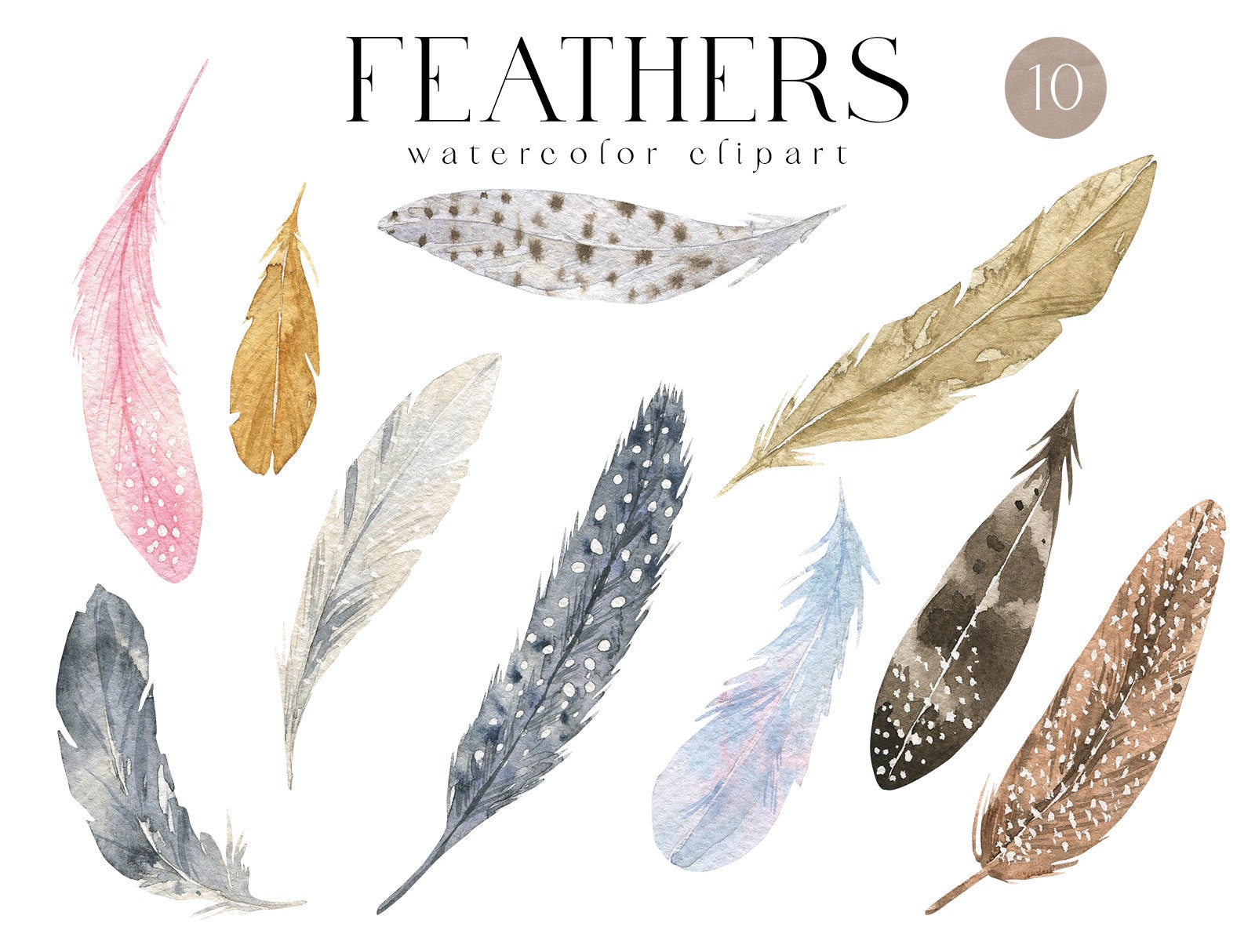 Watercolor Feather Boho Clipart Bohemian Feathers Clip Art | Etsy