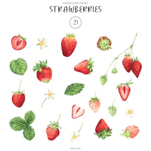Watercolor Strawberry Clipart Summer Berry Strawberries Harvest Food ...