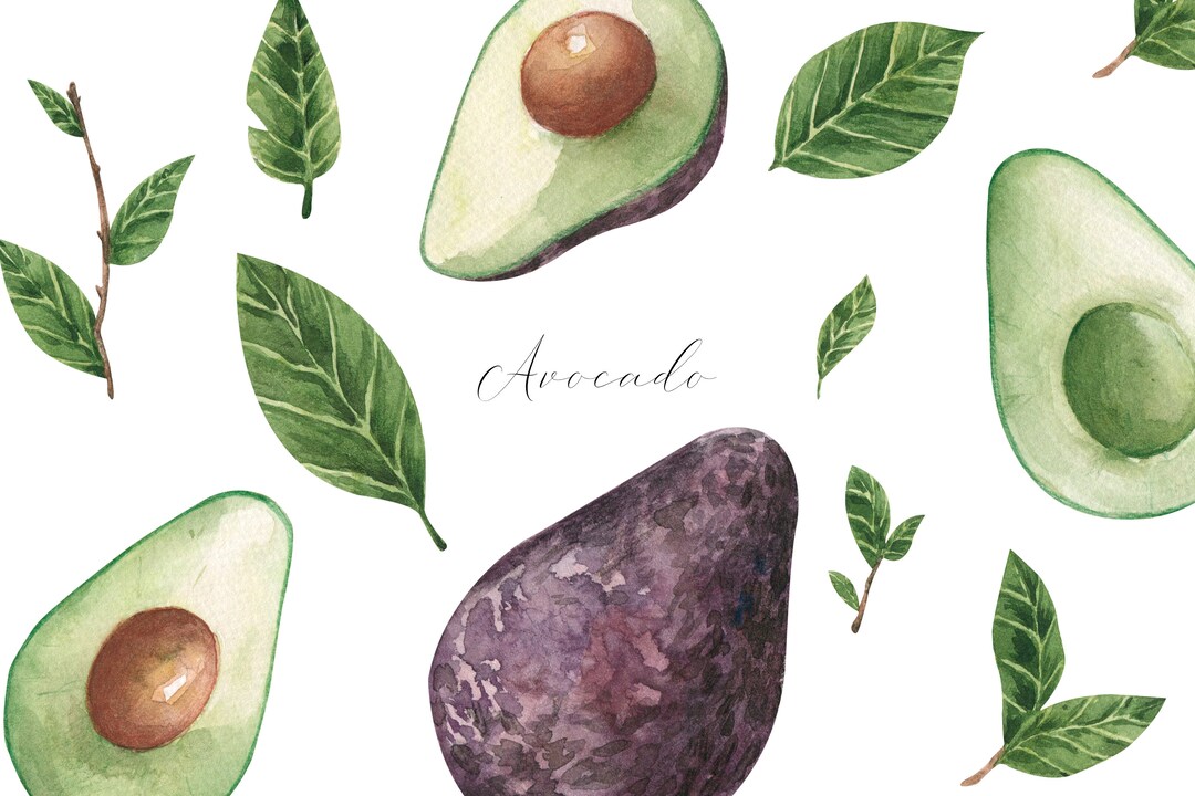 Watercolor Avocado Clipart Vegetables Png Vegan Healthy Food Summer ...
