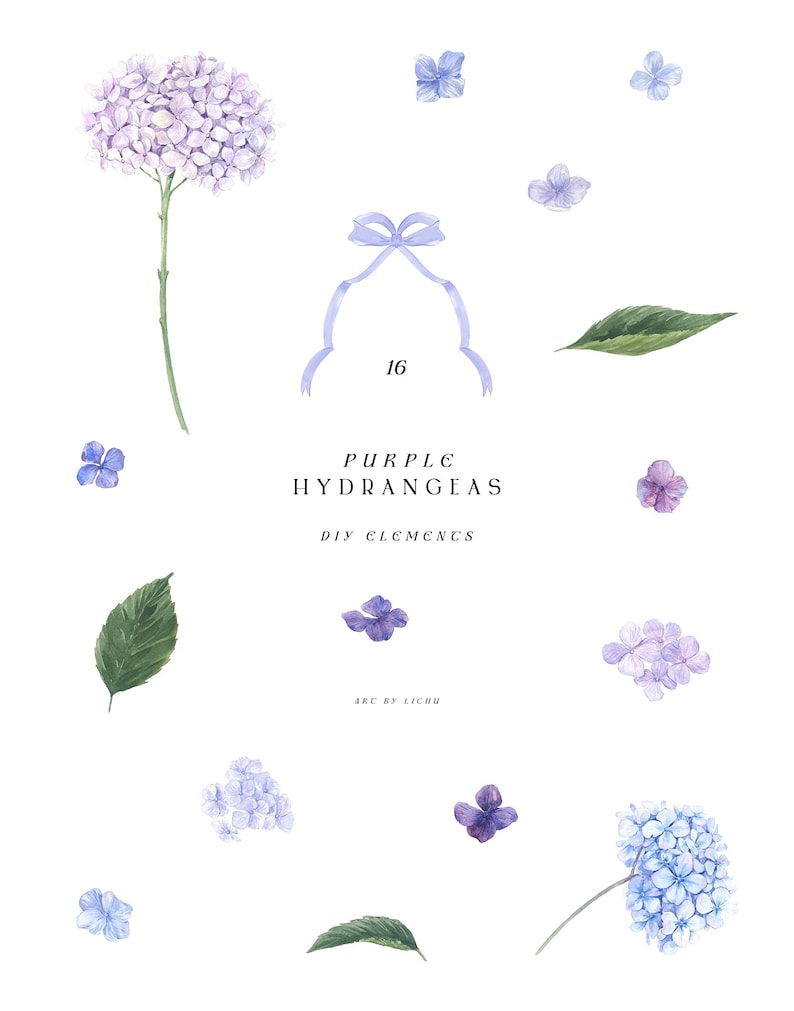 Purple Hydrangeas Clipart – Coquette Watercolor Flowers, Romantic ...
