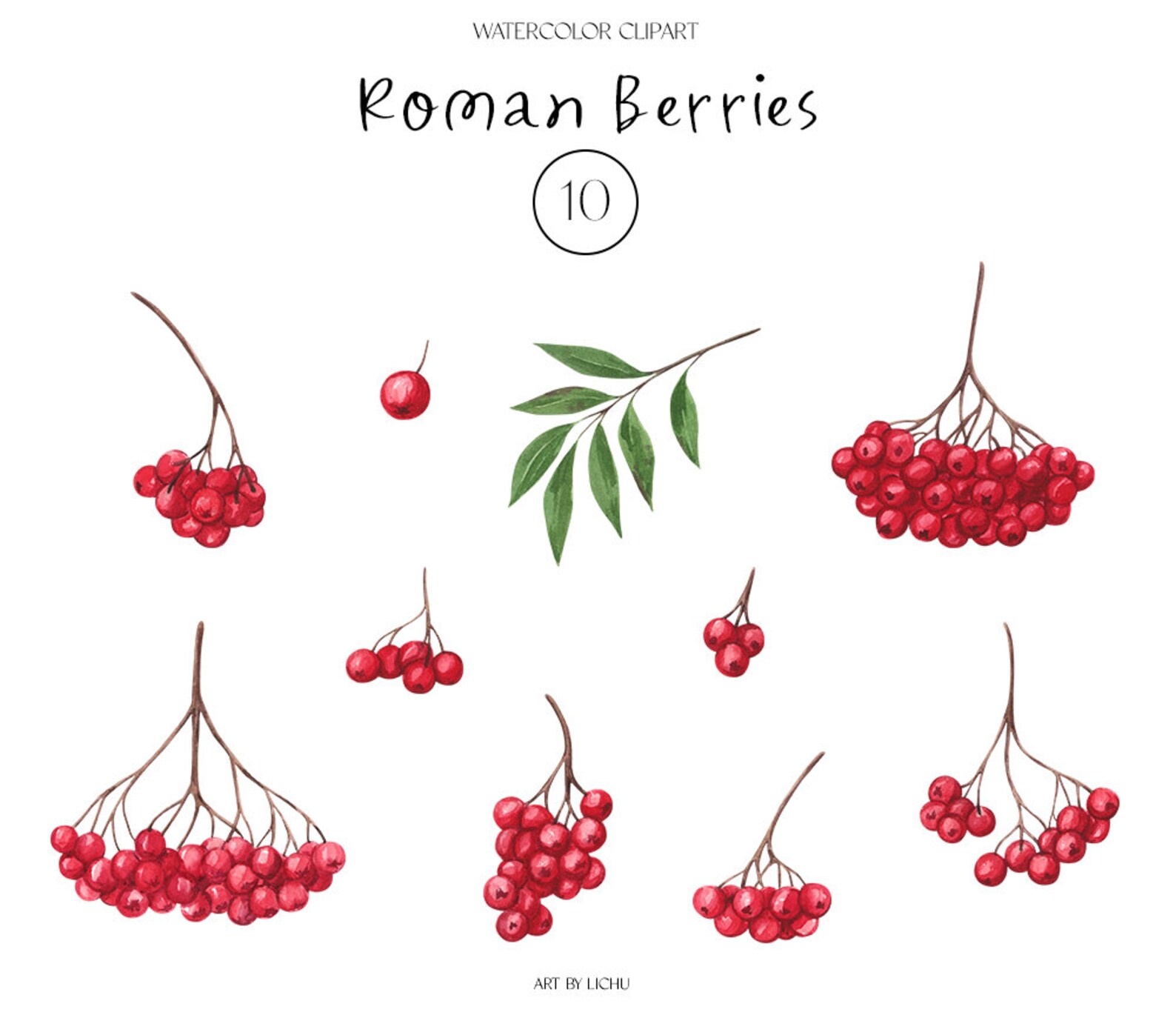 Watercolor Berries Clipart Summer Roman Red Berries Clip Art Fresh ...
