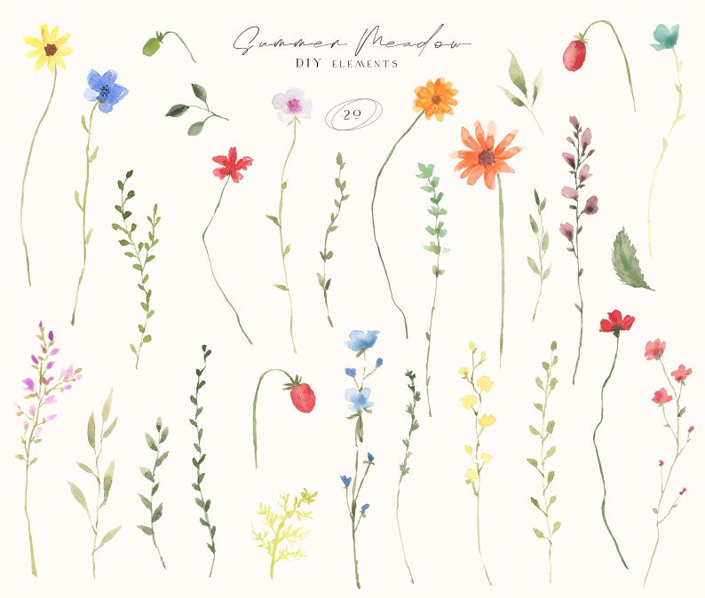 Summer Meadow Watercolor Clipart - Village Clipart - Wild Flowers ...