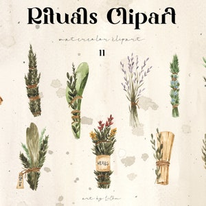 Watercolor Rituals Clipart Palo Santo Sage Lavender Smudging Holy Wood ...